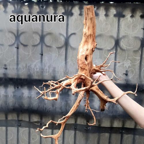 Jual kayu rasamala xl aquascape aquarium - Kota Tangerang Selatan ...