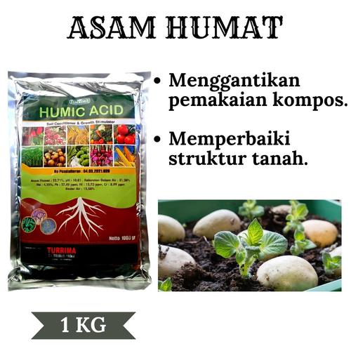 Jual Asam Humat Pupuk Supaya Tanah Gembur, Pupuk Kesuburan Tanah - Kab. Kebumen - Kebun Urban ...