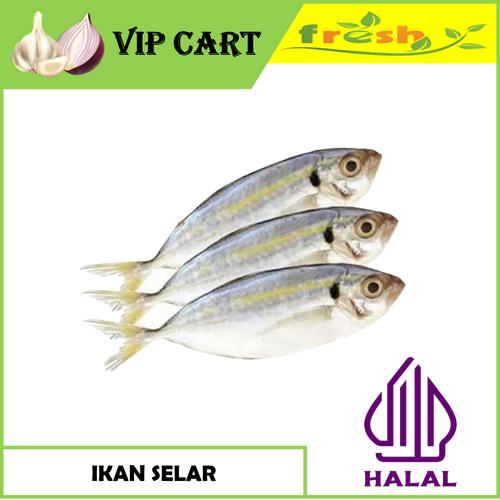 Jual IKAN SELAR KUNING 500 GRAM - Kota Bekasi - VIP Cart | Tokopedia