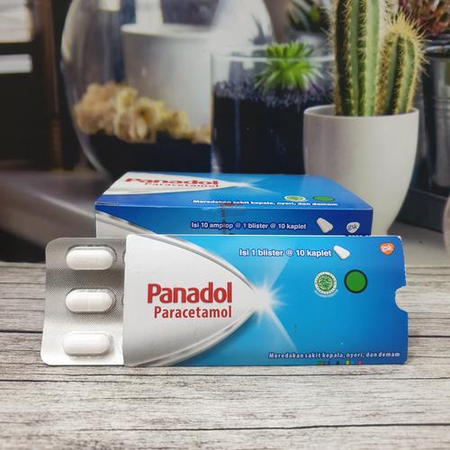 Jual Panadol Kaplet - Paracetamol 500mg utk Demam dan Nyeri - Kota ...