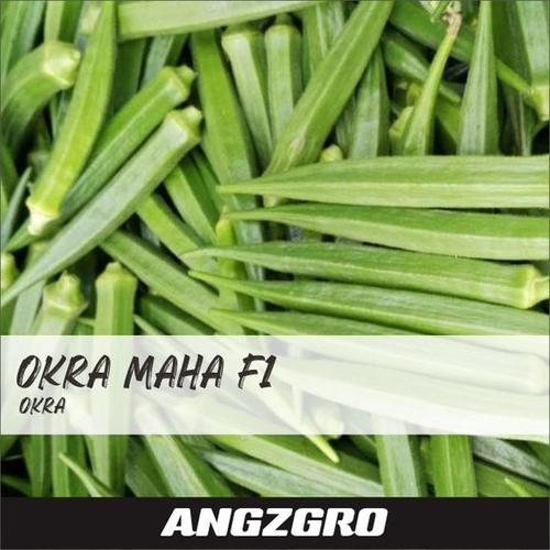 Jual Benih Okra Maha 10 Seeds - Kota Surabaya - ANGZCOMMERZ SURABAYA ...