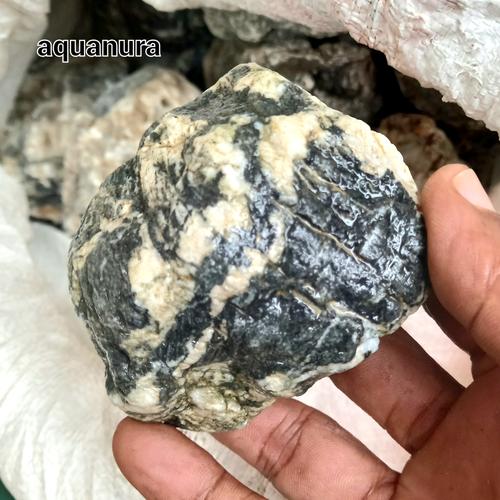 Jual batu turly belang aquascape turli belang aquarium - Kota Tangerang ...