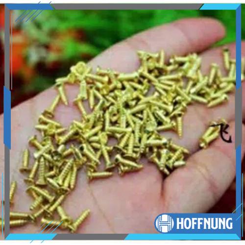 Jual Sekrup Engsel Mini Baut Kecil M2x5mm 1 Set Isi 4 pcs - Kab ...