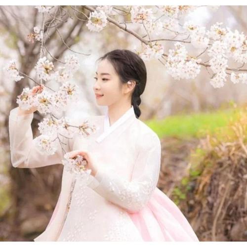 Jual New Hanbok Ratu Hanbok Muslim Hanbok Traditional Hanbok Modern ...