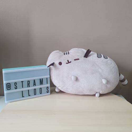 Jual BONEKA PUSHEEN WINK OFFICIAL PUSHEEN EXCLUSIVE PLUSH ORIGINAL GUND ...