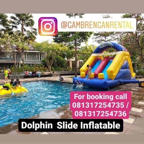 Jual Rental Dolphin Pool slide Inflatable Sewa Istana Balon Bouncy ...