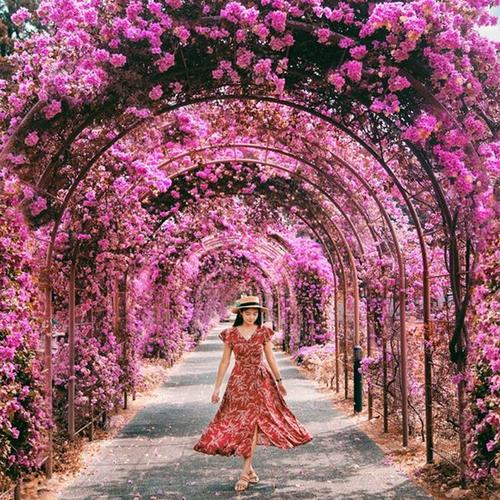 Jual Metal Arch Planter Rambatan Tanaman Rambat Bunga Buah Pembuatan ...