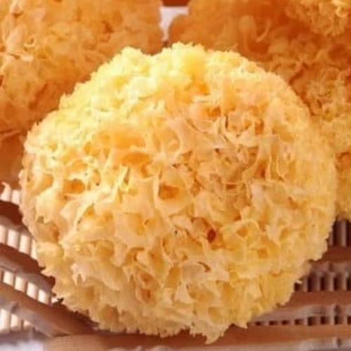Jual Jamur Salju satu bulat / Jamur Putih / Snow White Fungus - Kota ...