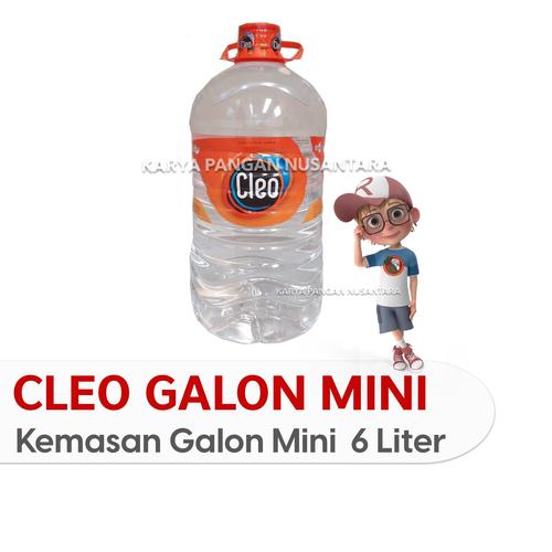Jual Cleo Galon 6 Liter Air Mineral Cleo Galon Mini 6000ml Cleo Galon Kecil Kota Malang