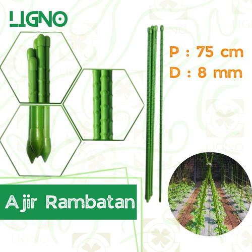 Jual AJIR RAMBATAN 75 cm - Tiang Penyangga Tanaman - Kab. Purwakarta ...