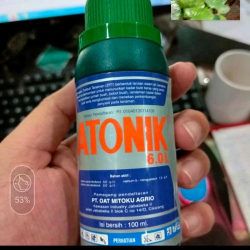 Jual atonik 100 ml zpt, zpt cair, pupuk buah, antonik tanaman - atonik ...