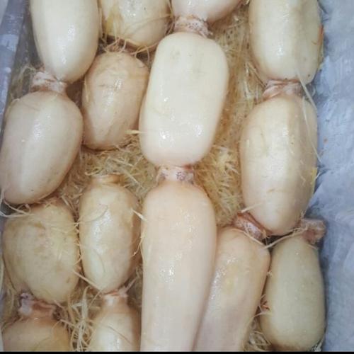Jual Sayuran akar lotus segar 1kg - Jakarta Barat - warung pahriyah ...