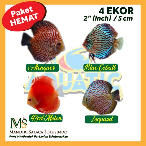 Jual Ikan Discus Paket Hemat 4 Jenis (Ekor) 2 " INCH // 5 cm ...