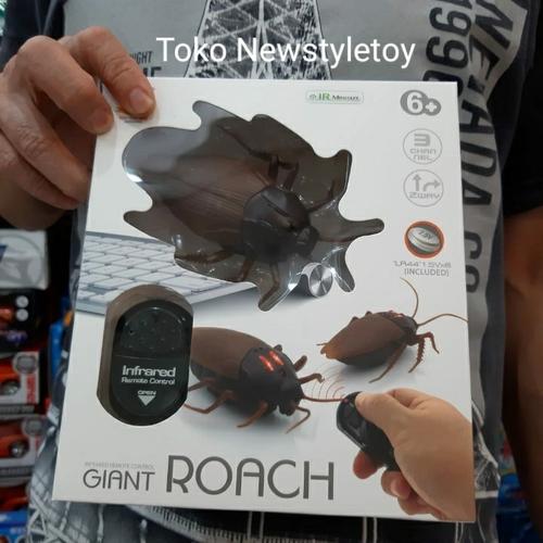 Jual Kecoa mainan remote control - kecoa - Jakarta Utara - newstyletoy ...