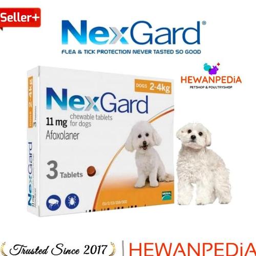 Jual NEXGARD S Anjing 2-4 kg Small Dog - Obat Kutu Caplak Demodex ...