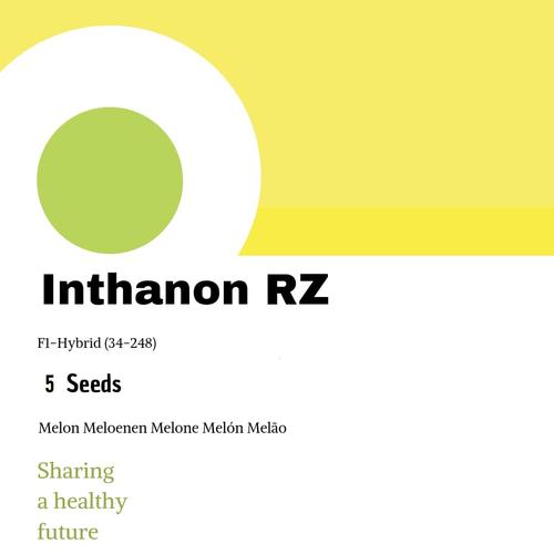 Promo Benih Bibit Melon Inthanon RZ Kemasan isi 5 Seeds - Kab. Bandung ...