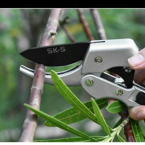Jual Gunting Pruning Dahan Ranting Kayu Batang Tanaman Tumbuhan Bunga ...