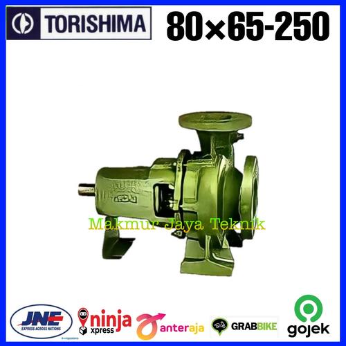 Jual Pompa Centrifugal TORISHIMA ETA-N/CEN 80×65-250 Impeller FC 200 ...