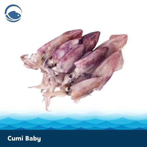 Jual Cumi Baby Asin Kering Kecil Rebus Sotong Premium Bersih Segar ...