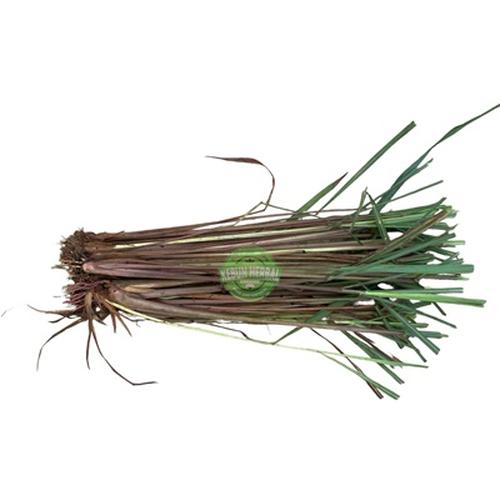 Promo Sereh Merah segar 1 Kg Asli Serai Wangi Lanang Original - Dengan ...