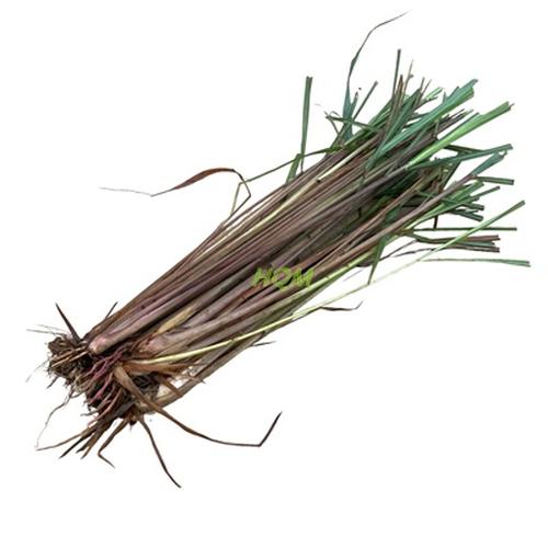 Jual Daun serai merah 1kg ( hanya daun ) sereh wangi lanang - Kab ...