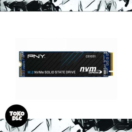 Jual PNY SSD M.2 NVME CS1031 256GB GEN 3X4 - Jakarta Utara - TOKO DLC ...