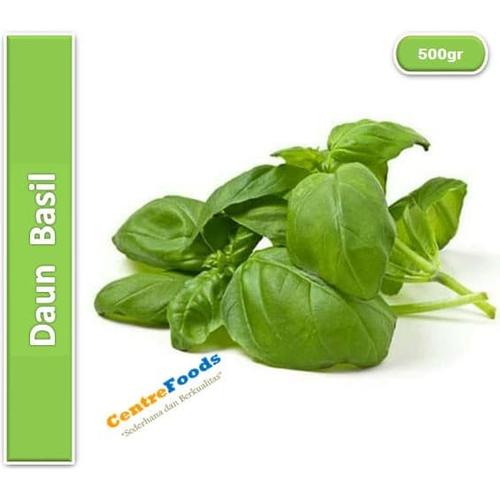 Jual Daun Basil Fresh - Sweet Basil | 500gr [ Harga Per 0,5 Kg ...