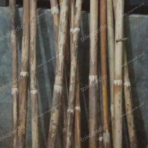 Jual rotan batangan tongkat rotan pentungan rotan termurah - Kab ...