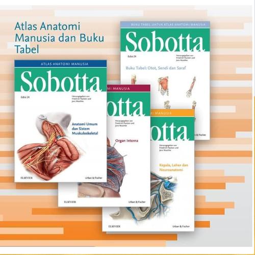 Jual SOBOTTA ATLAS ANATOMI MANUSIA EDISI 24 E-SOBOTTA COMPLETE - Kota ...