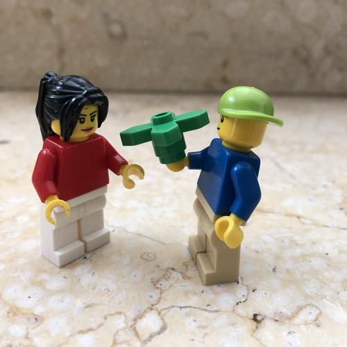 Jual Lego minifigure City Couple Boy Girl Flower Plant Romance ...