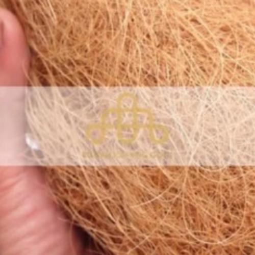 Jual SUSUH MANUK KANDANG BURUNG SERABUT KELAPA BIRD NEST GLODOK BURUNG ...