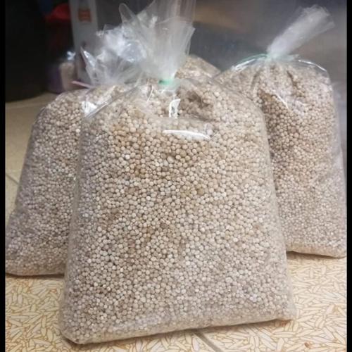 Jual Sagu Butir Sagu Rendang Berat 1.2kg Untuk Kernas - Kota Tanjung ...