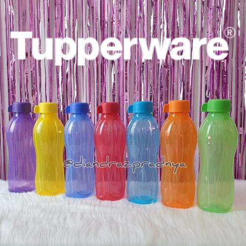 Jual Eco Bottle 500 ml Tupperware Malaysia Rainbow Edition - E - Kota Malang - Diandraz | Tokopedia