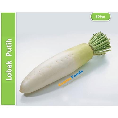 Jual Lobak Putih Daikon - White Radish | 500gr [ Harga Per 0,5 Kg ...
