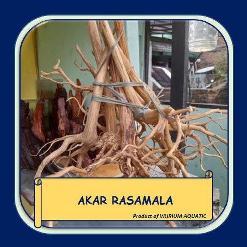 Jual DEKORASI AQUASCAPE - AKAR / KAYU / RANTING RASAMALA - Jakarta ...