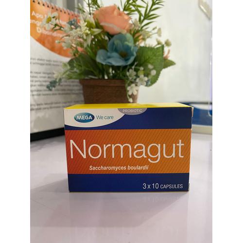 Jual NORMAGUT : KESEHATAN PENCERNAAN (1BOX ISI 30 TABLET) - Kota ...