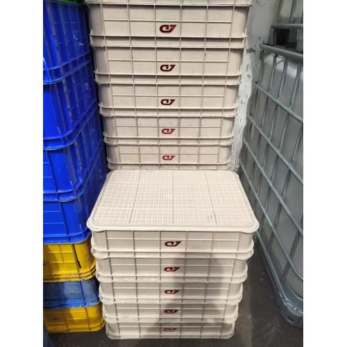 Promo Box Kura Kura Bak Pot Tanaman Bak Hidroponik Box Hidroponik 2022 ...