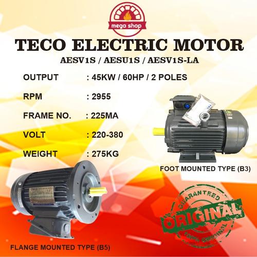 Jual ELECTRIC MOTOR TECO 45KW / 60HP / 2POLE - FOOT MOUNTED - Jakarta ...