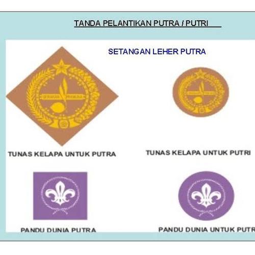 Jual SCOUT PATCH BADGE LOGO EMBLEM BORDIR PRAMUKA JAHIT KERAH DADA ...