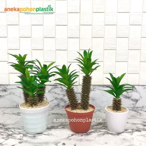 Jual Tanaman Hias Kurma Mini Latex Artificial Variasi Pot Pajangan ...