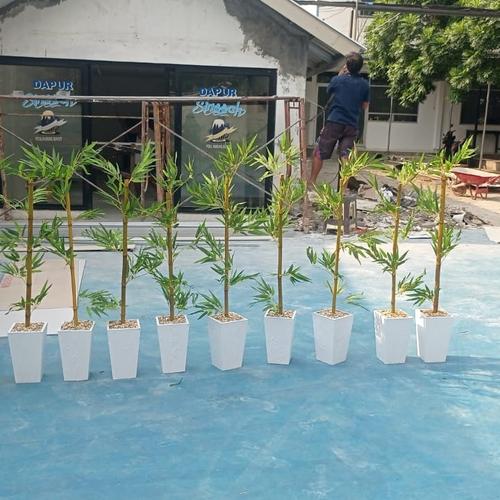 Jual POHON BAMBU X1/BAMBU HIAS /BAMBU ARTIFICIAL/BUNGA PLASTIK - Kota ...
