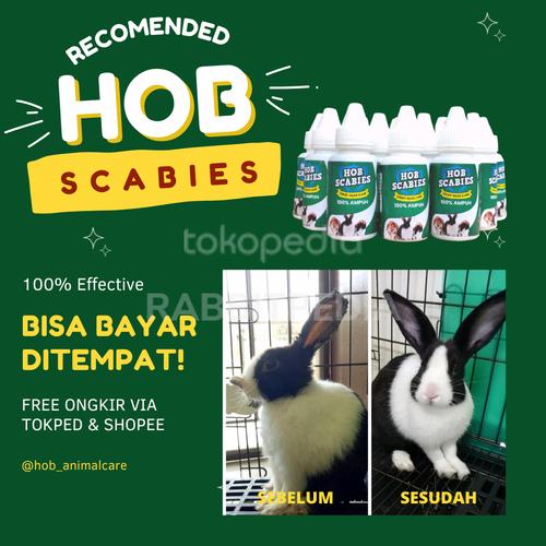 Jual Obat Scabies Jamur - HOB SCABIES 30 ML-Obat Oles Cair kelinci ...