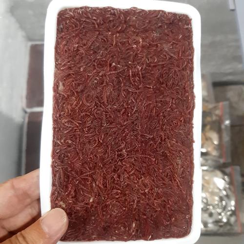 Jual Cacing Beku Tray Bloodworm Untuk Pakan Ikan Hias - tray 100 gram ...