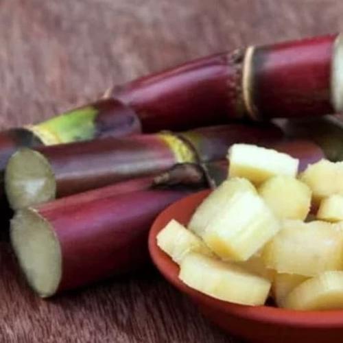 Jual Jual Tebu Merah Segar 1 Kg - Hanya batang - Kab. Pangandaran ...