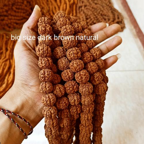 Jual biji jenitri ukuran 20mm besar - Kab. Kebumen - Rudralife | Tokopedia
