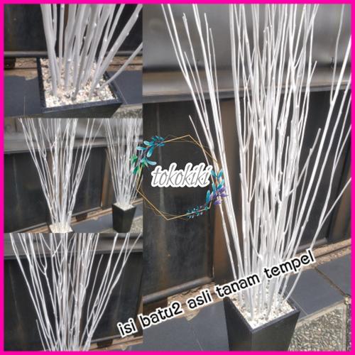 Jual Ranting Putih Hias Dekorasi Rumah Minimalis Aesthetic Batang Pohon ...