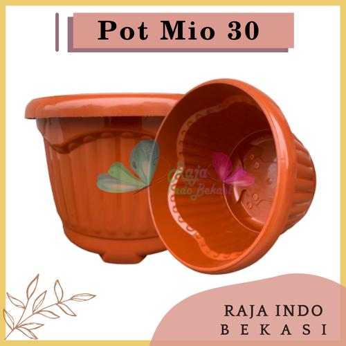 Promo Pot Mio 30 Coklat merah bata Bunga Shallom belimbing bulat besar ...