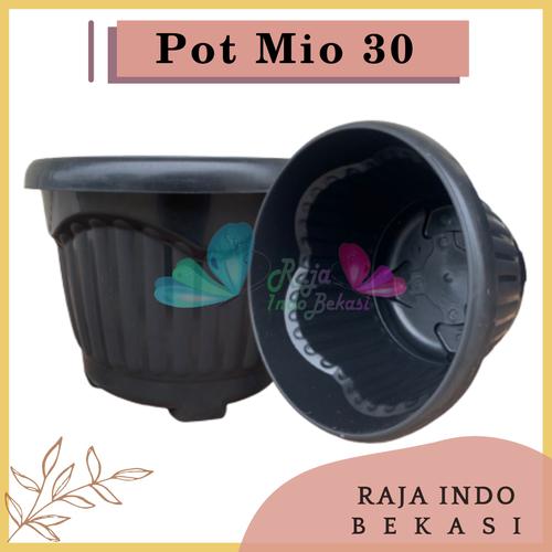 Promo Pot Mio 30 Hitam Bunga Shallom belimbing bulat besar tebal murah ...