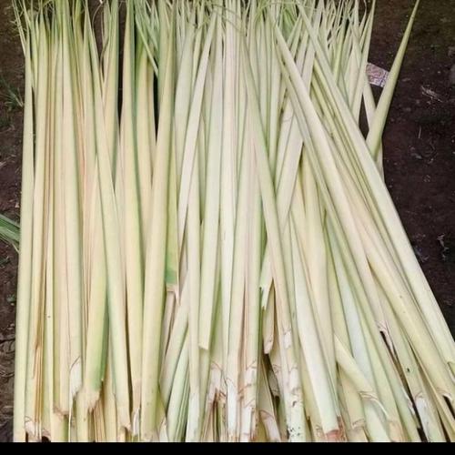 Jual daun kelapa muda - janur kelapa muda - janur bahan bungkus ketupat ...