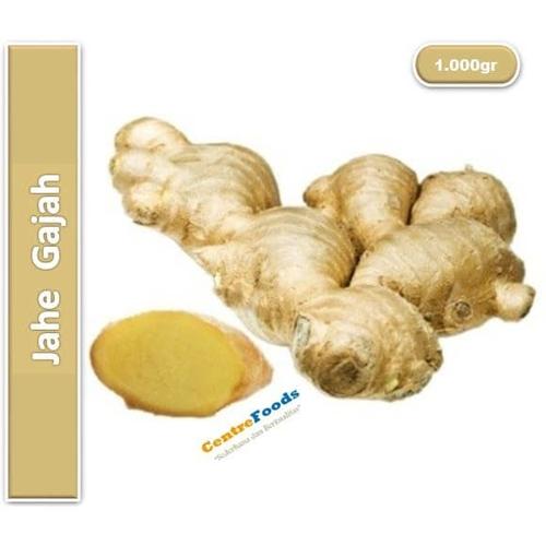 Jual Jahe Gajah Putih - Jahe Badak Fresh | 1.000gr [ Harga Per KG ...